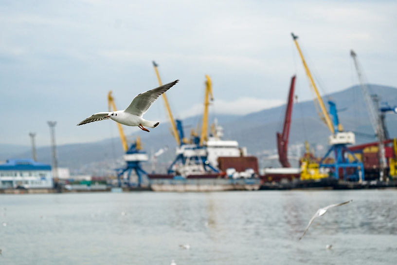 ДелоПортс выплатил 255,75 млн руб. по облигациям серии 001P-04 за 10-й ...