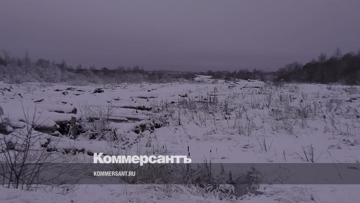 В Ярославской области в муниципальную собственность вернули 290 га ...